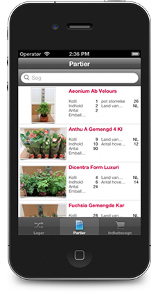 Proflora | Alt i blomster og planter - vi er din innovative grossist og ...