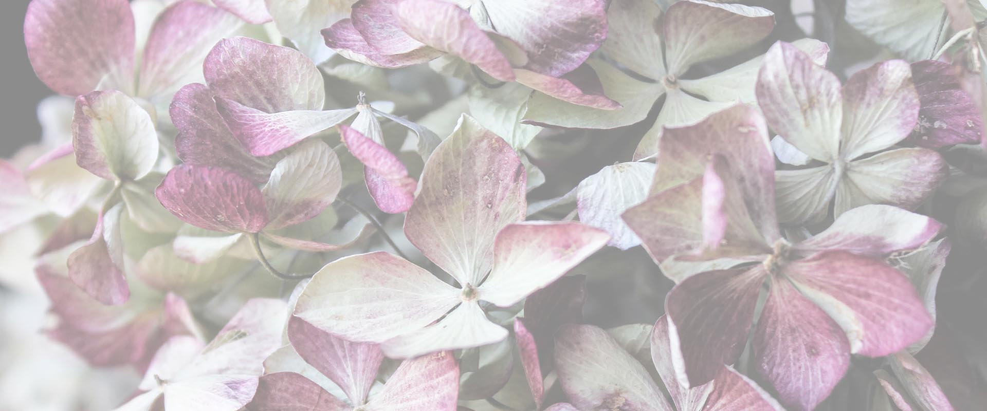 Proflora | Alt i blomster og planter - vi er din innovative grossist og ...