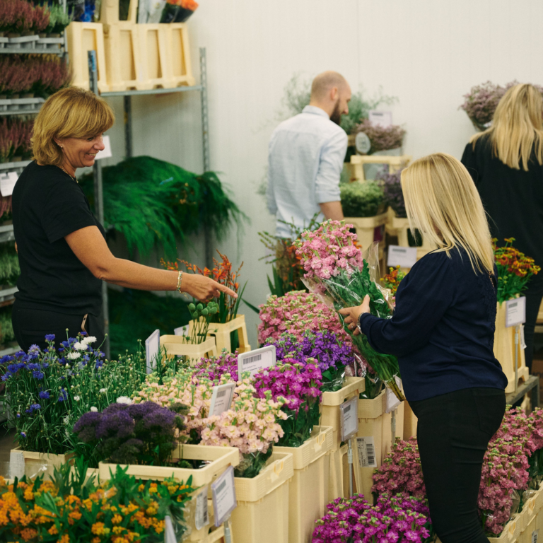 Hvem er Proflora - Professionel leverandør af blomster & planter